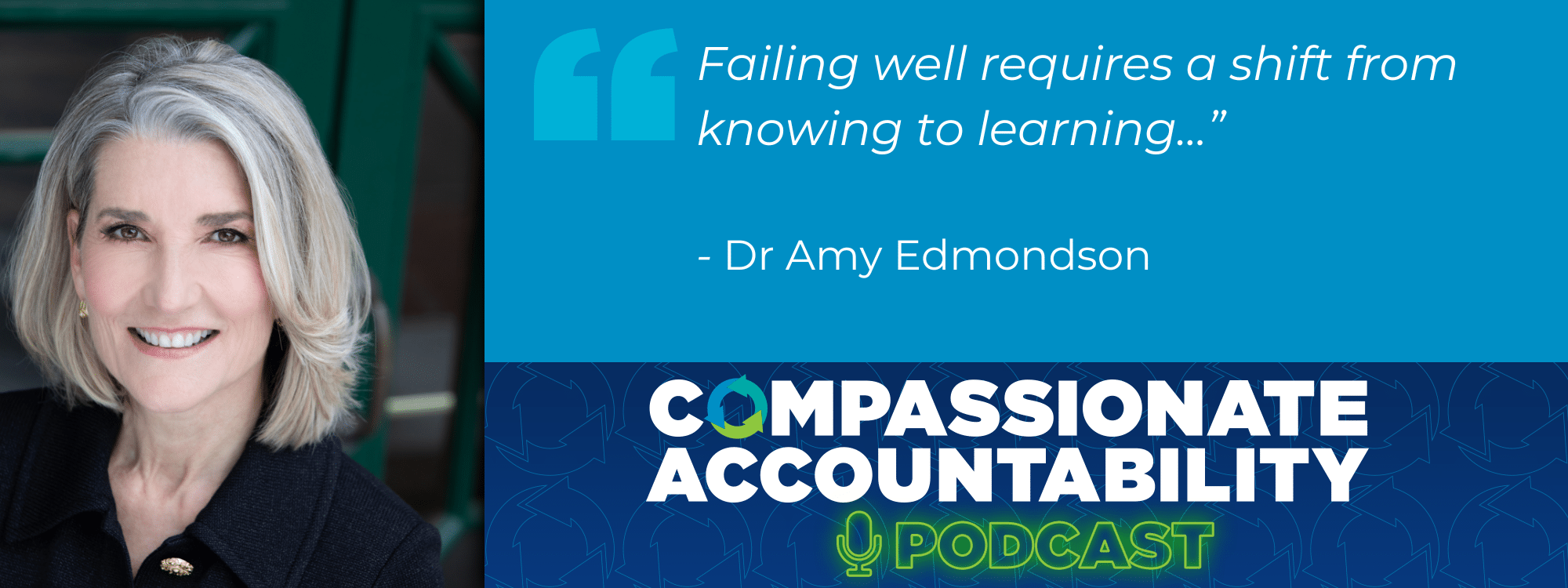 The Science of Failing Well with Dr Amy Edmondson [Podcast] - Next Element
